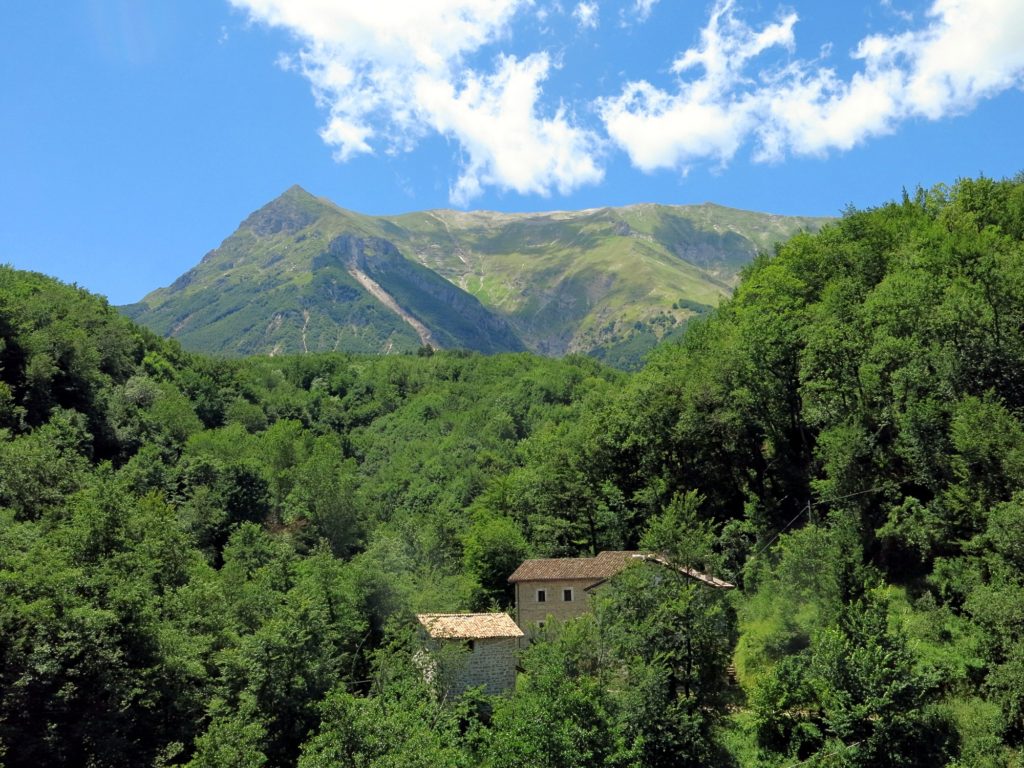 Anello di Montegallo - Altino - #Centroitalia, Ripartiamo dai sentieri